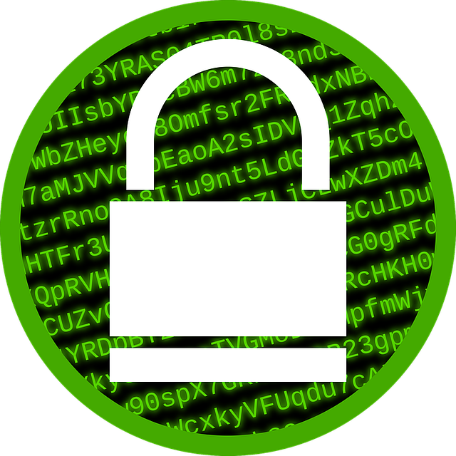 The Difference Between SOCKS5 Proxy vs. HTTP and HTTPS Proxy The Difference Between SOCKS5 Proxy vs. HTTP and HTTPS Proxy